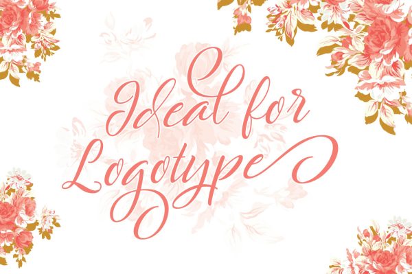 Rachella Script Free Typeface – Type & Graphic Design